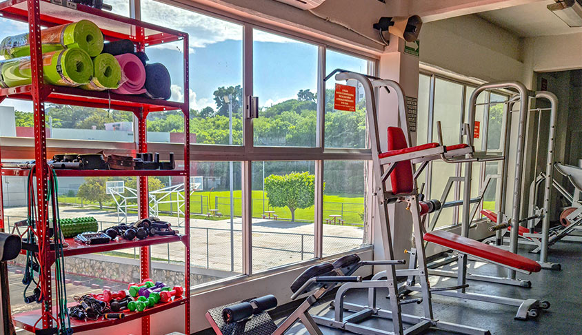 Veracruz - Universidad del Valle de México | Estudia en Campus Veractuz