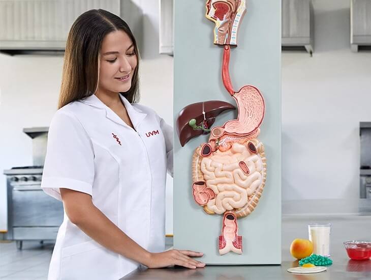 Licenciatura en Nutrición | » Estudia en la UVM