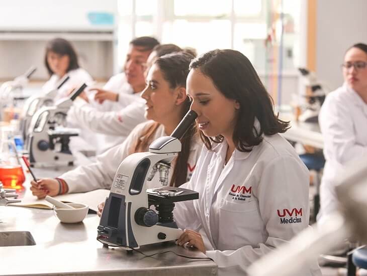 Licenciaturas | Estudia en UVM una Carrera Universitaria