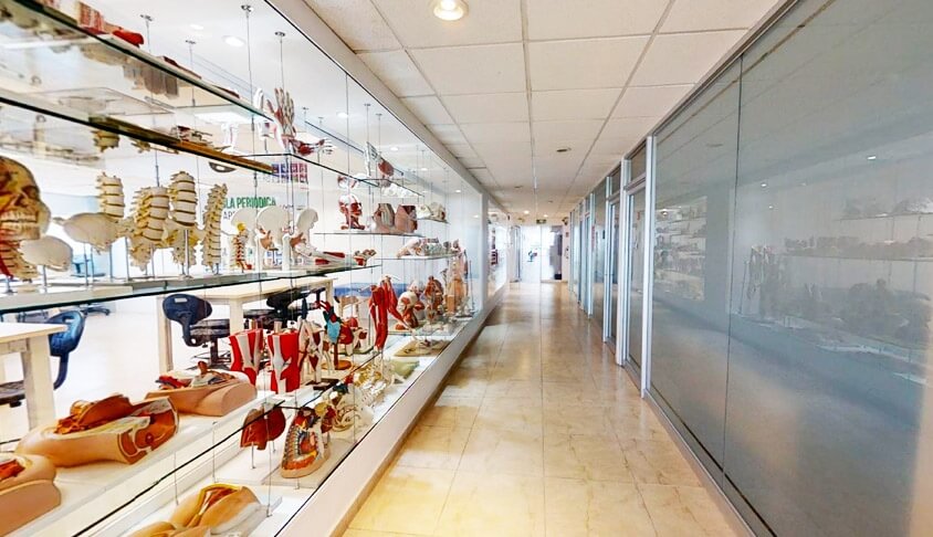 Puebla - Universidad en Puebla-Cholula | Campus UVM