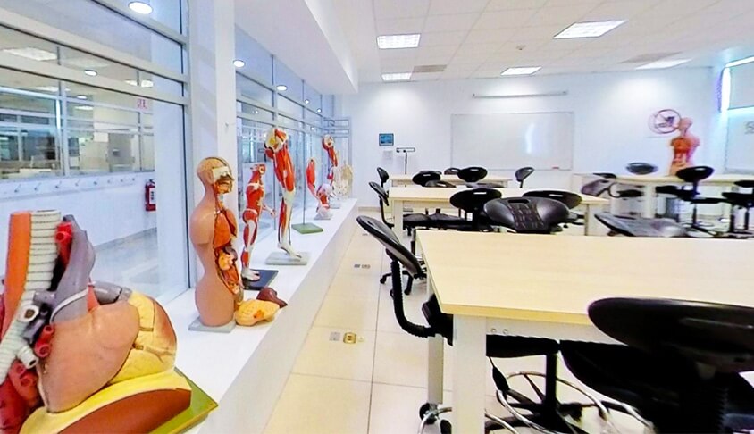 Coahuila - Universidad del Valle de México | Estudia en campus Saltillo