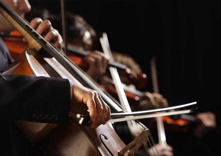 Ensamble Musical | Estudia en la UVM