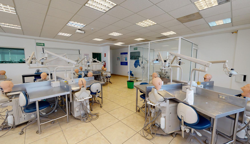 Sonora - Campus Hermosillo | UVM Universidad del Valle de México